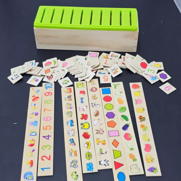 Knowledge Classification Box – Educational Sorting Toy for Kids - Buy ...